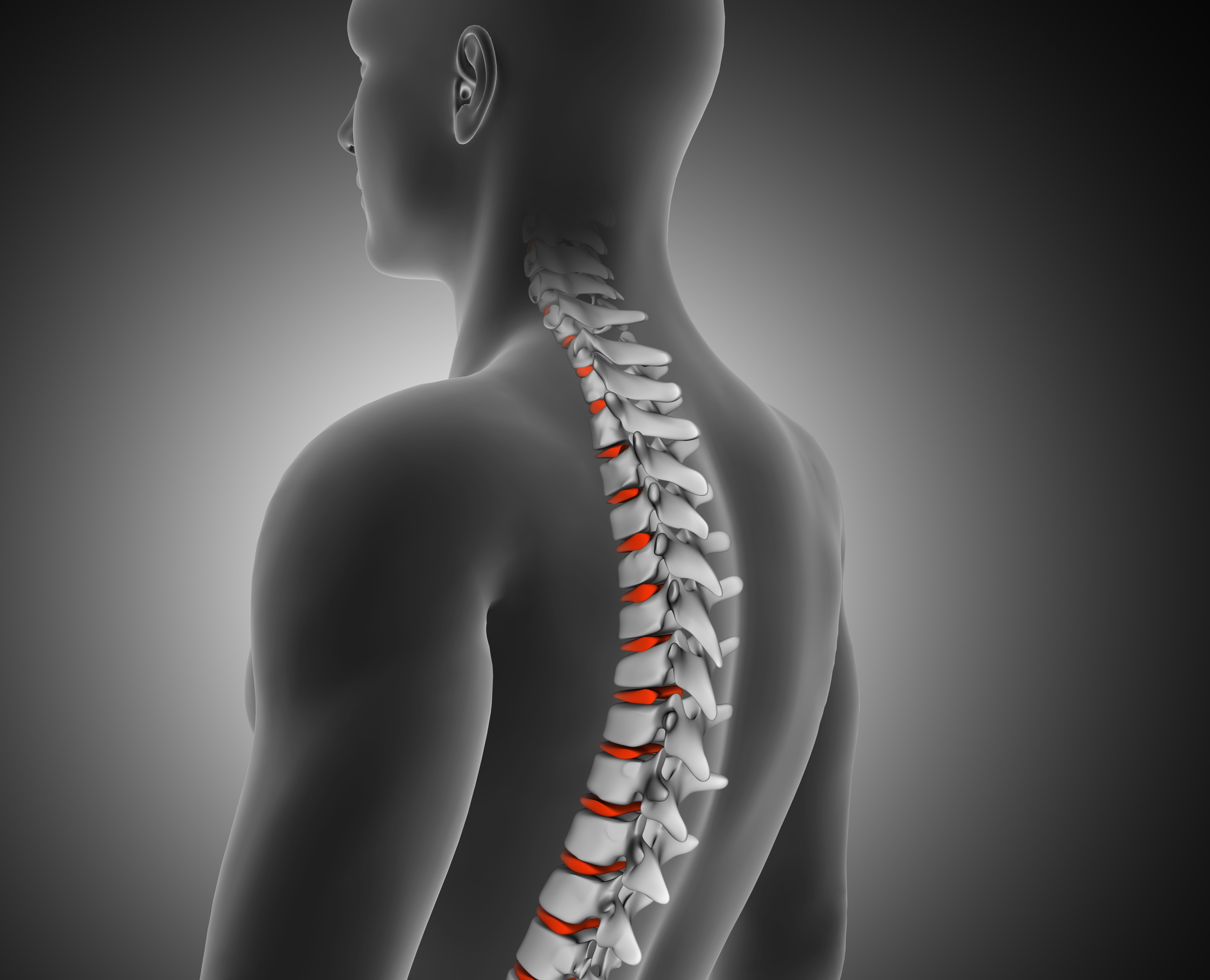 Our Services | St Peters Orthopedic & Surgical Specialty Center